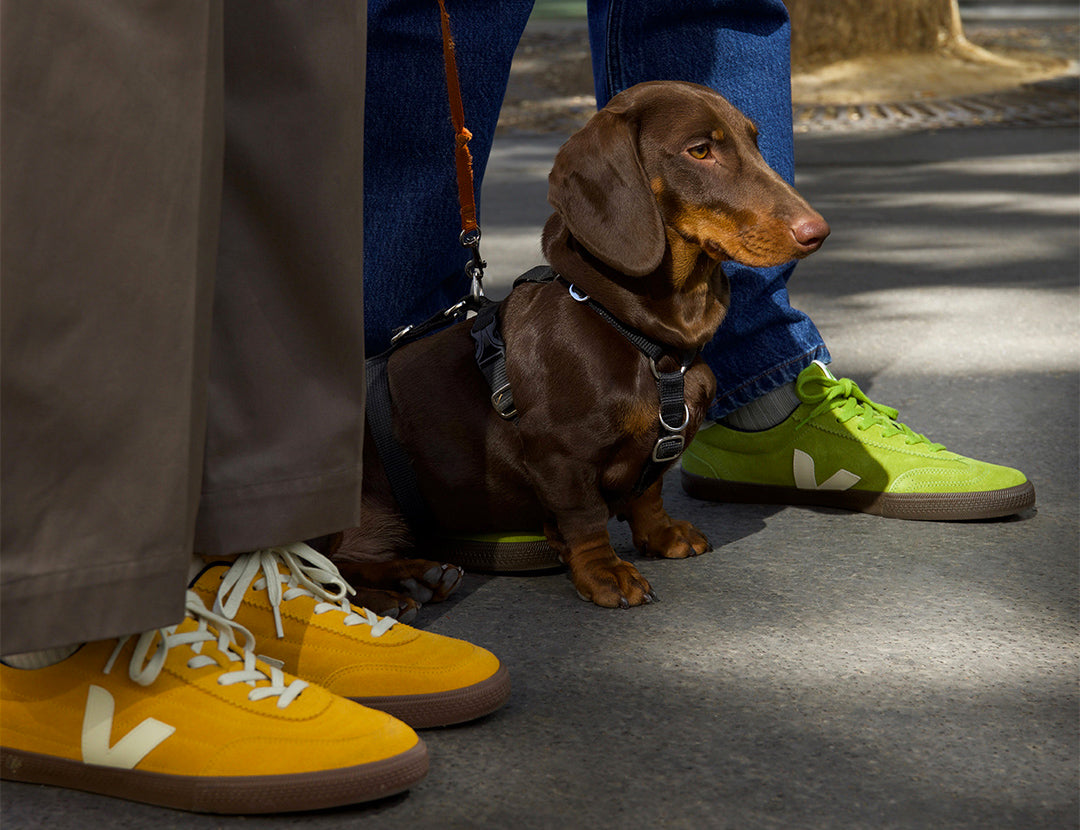 Veja | Good As Gold | NZ