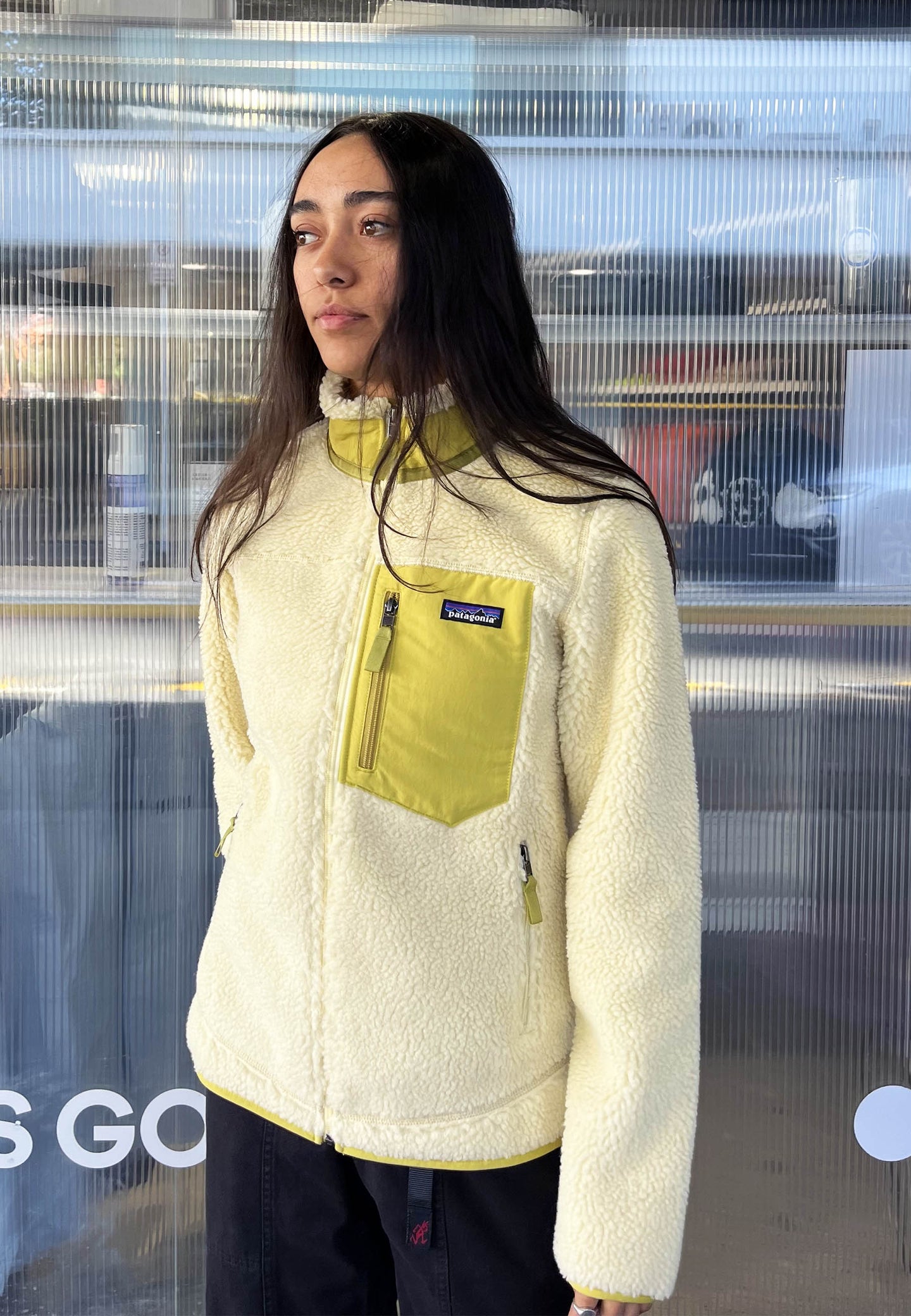 Patagonia | Good As Gold | NZ