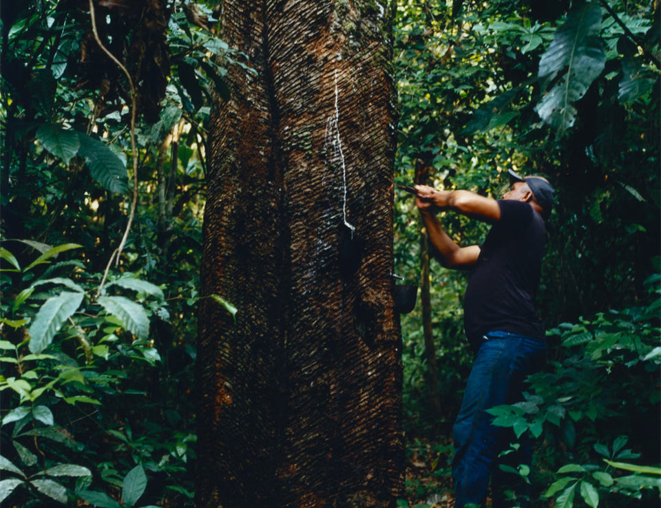 VEJA | Buy Etna Bold Leather - Full Black online | Good As Gold, NZ